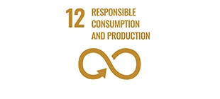 The UN Sustainable Development Goals | Arcadis