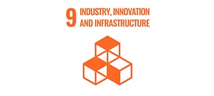 The UN Sustainable Development Goals