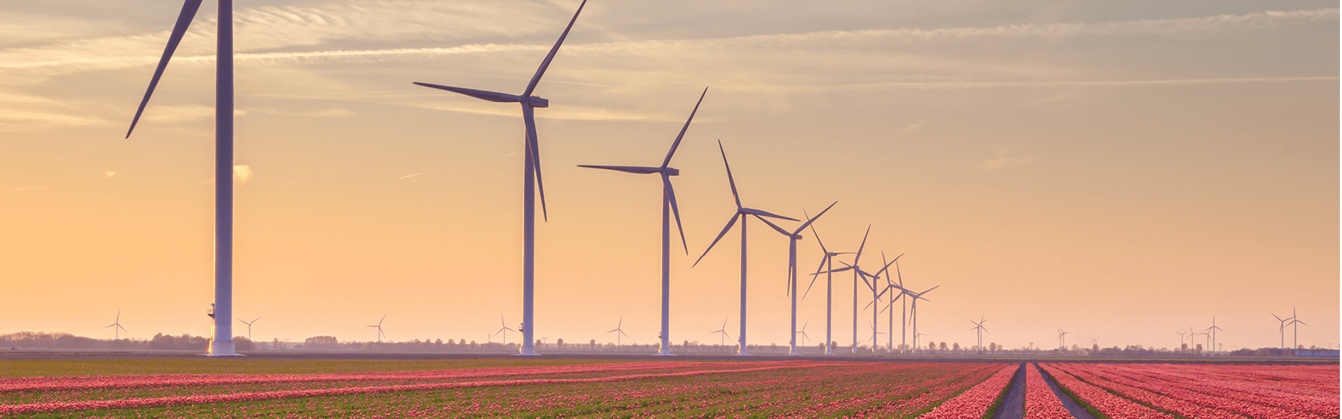 Operationalizing net zero: build a decarbonization strategy | Arcadis