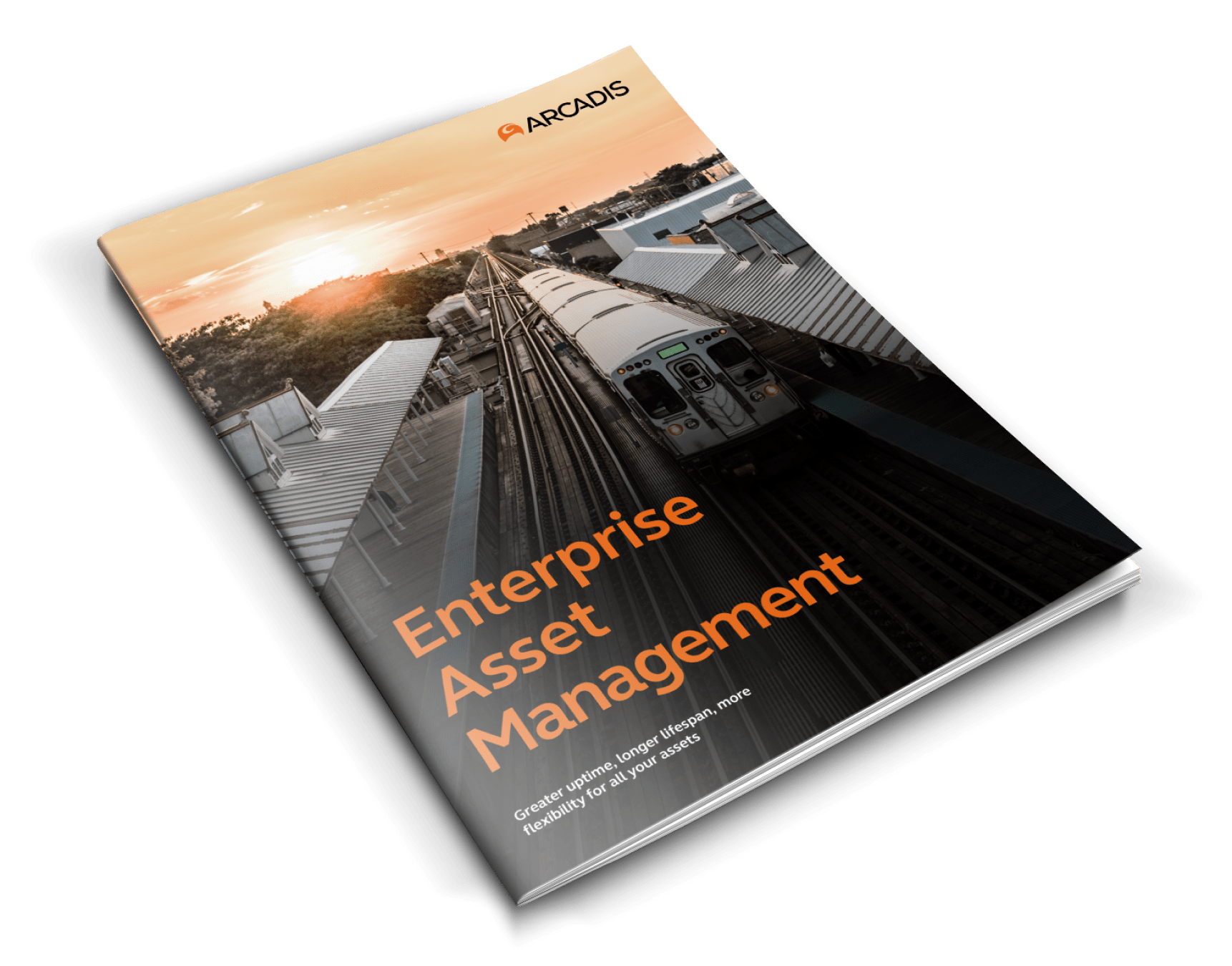 Arcadis EAM Core Solutions - Enterprise Asset Management | Arcadis