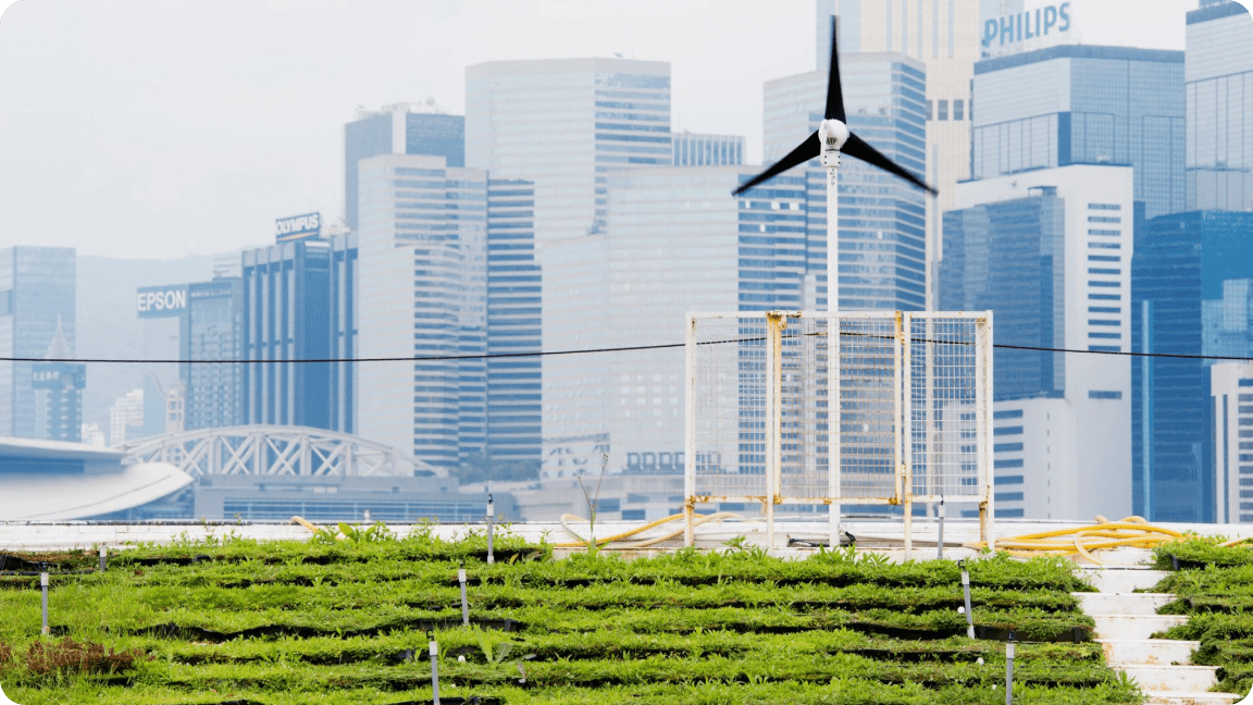 Architecture and Urbanism | Arcadis