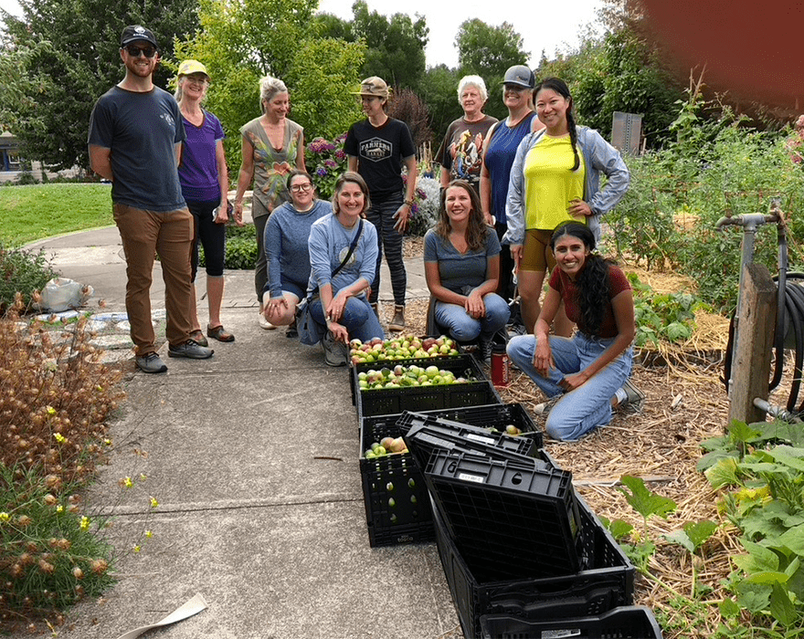 Tackling food insecurity with City Fruit | Arcadis