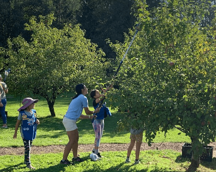 Tackling food insecurity with City Fruit | Arcadis