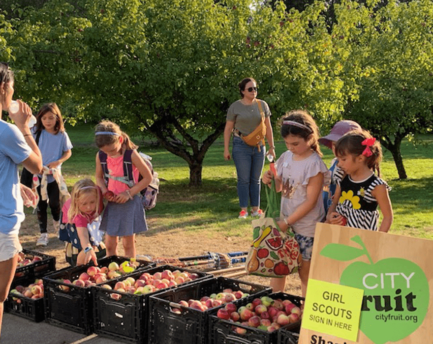 Tackling food insecurity with City Fruit | Arcadis
