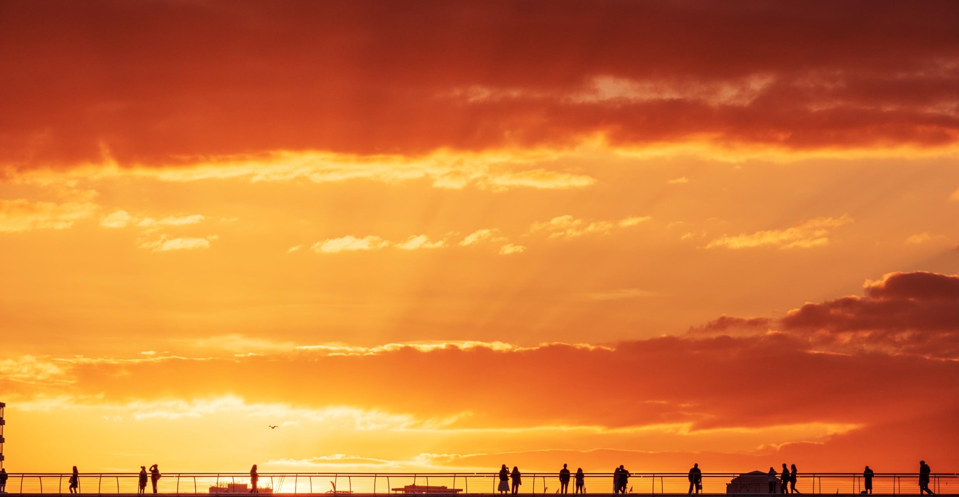 Arcadis Fourth Quarter and Full Year Results 2024 | Arcadis