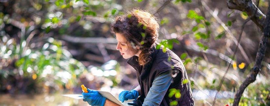 New Technical Directors for resilience solutions | Arcadis