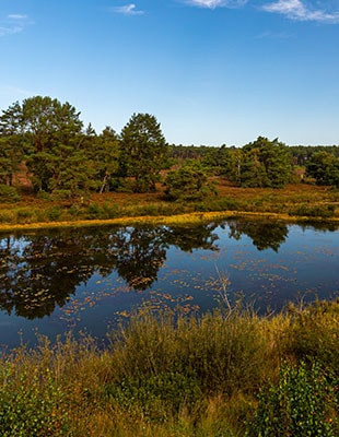 Arcadis wins Defra/Natural England framework contract to support ...