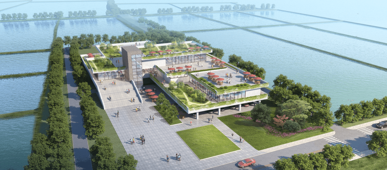 Ecological Restoration in Daye City | Arcadis