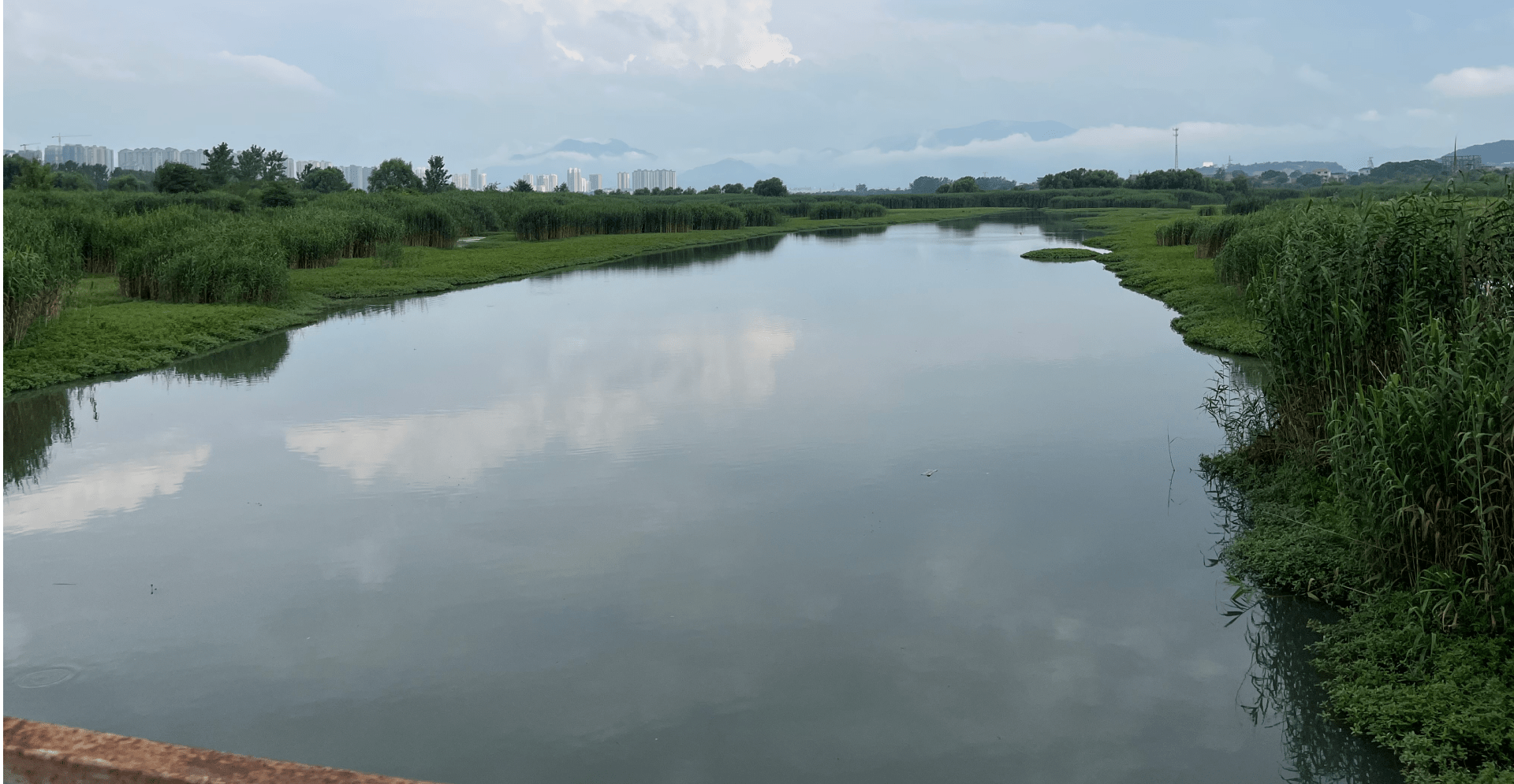 Ecological Restoration in Daye City | Arcadis