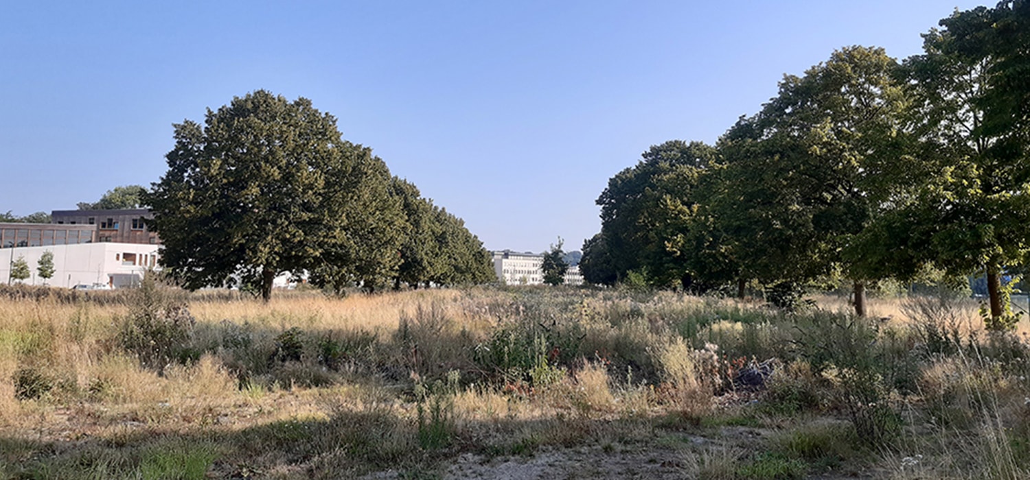 Van Praet Master Plan: Three Worlds over 27 Hectares | Arcadis