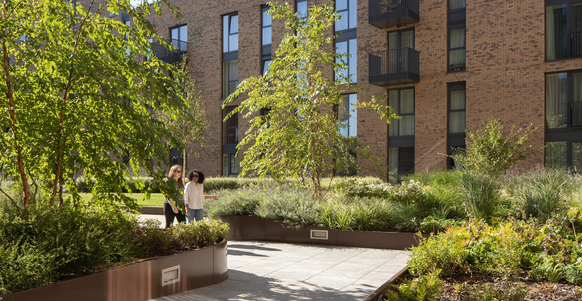 Corkfield at Edgbaston Cricket Ground | Arcadis