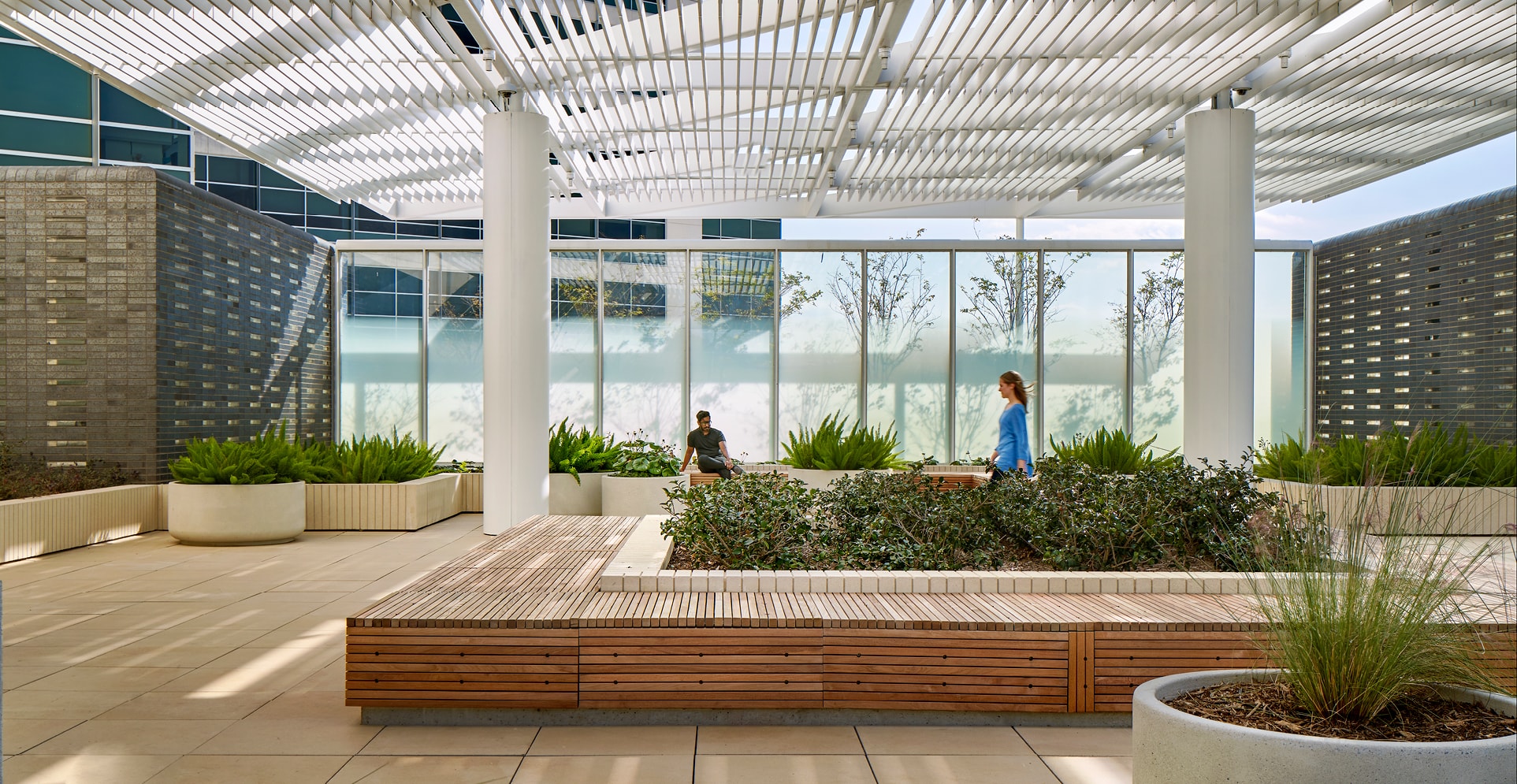 William P. Clements Jr. University Hospital | Arcadis